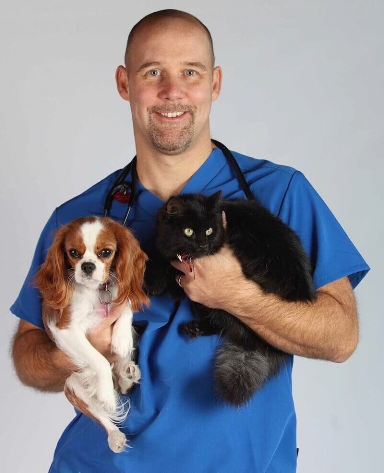 Specialist Vet/ Internist Vet